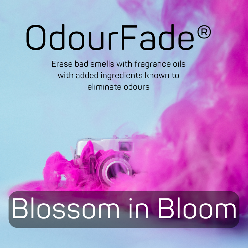 Blossom In Bloom OdourFade® Fragrance Oil | Blossom Oils Ltd